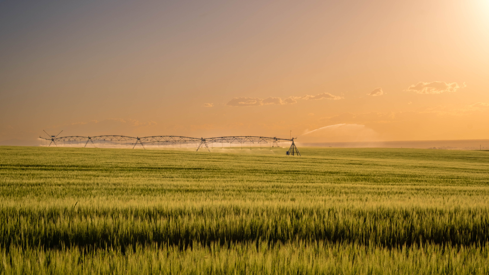 TrueNorth Moving Co. - Moving In Moscow, ID and The Palouse Area